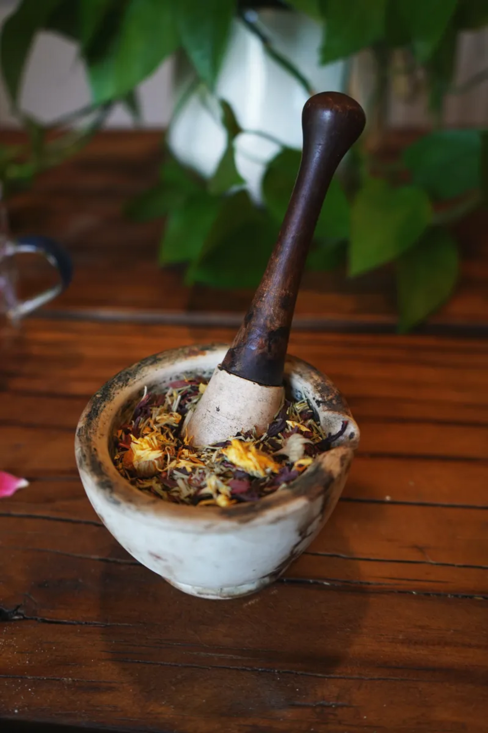 Aphrodite Tea (Collagen boost, bone strength, keratin boost) – The ...